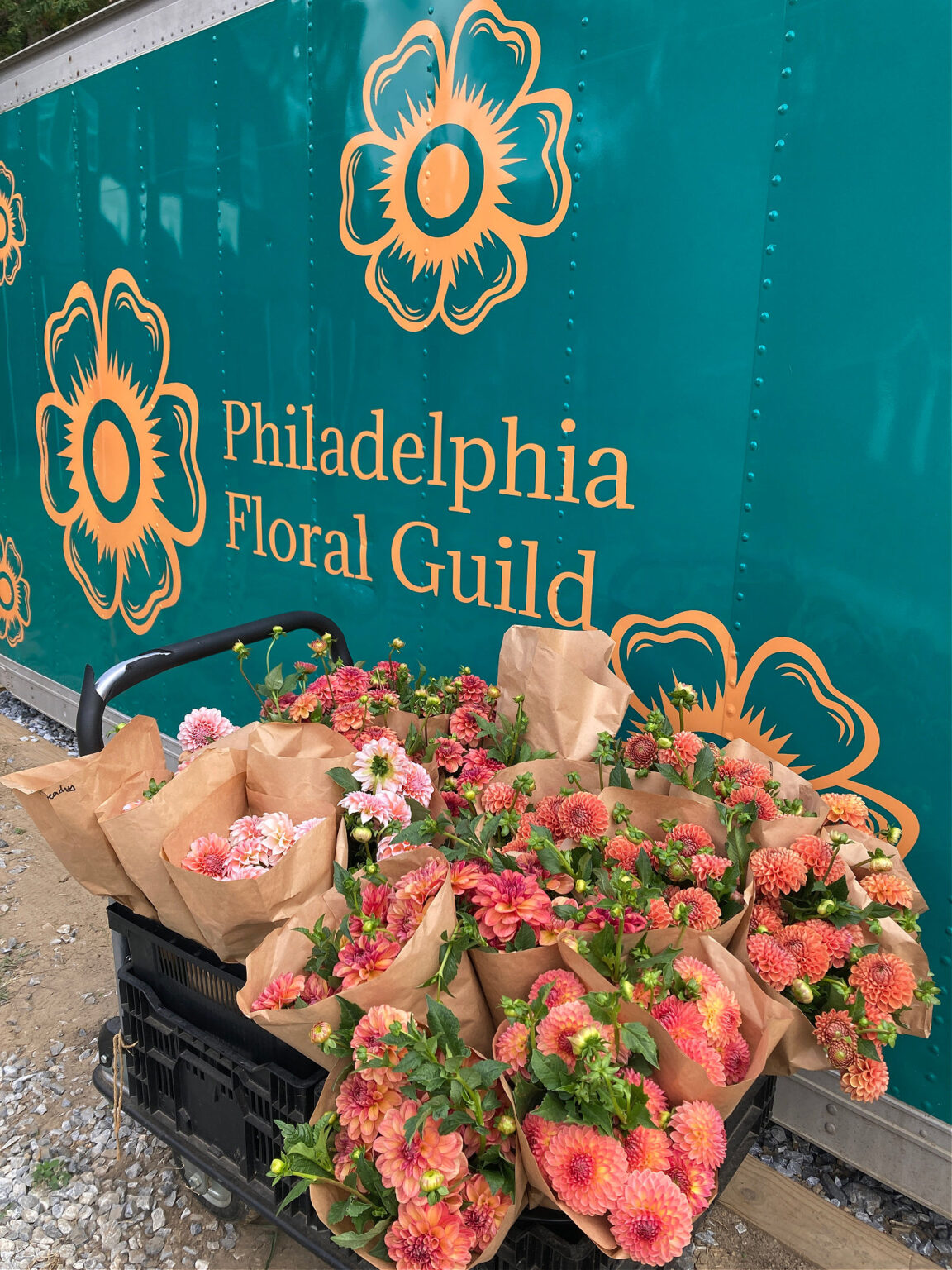 Wholesale – Love 'n Fresh Flowers